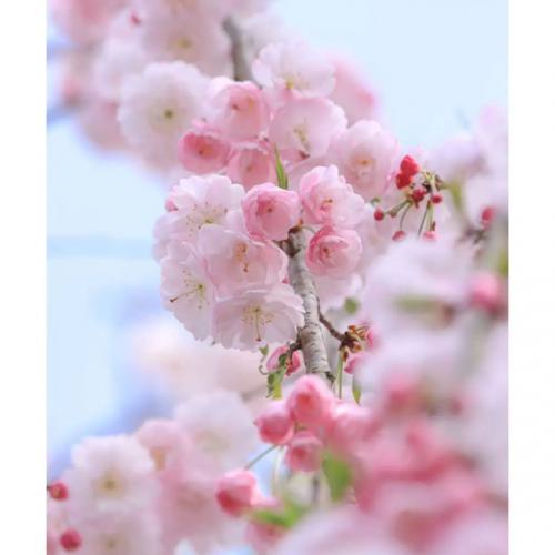 دانلود آهنگ سلف کنترل از اینفرنال +ریمیکس Infernal Self Control - ملودیفا