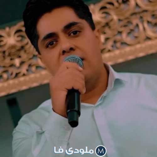 دانلود اهنگ علی شرفی پری - ملودیفا